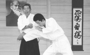 Atemi arts (striking) | Aikido Warrior Dojo